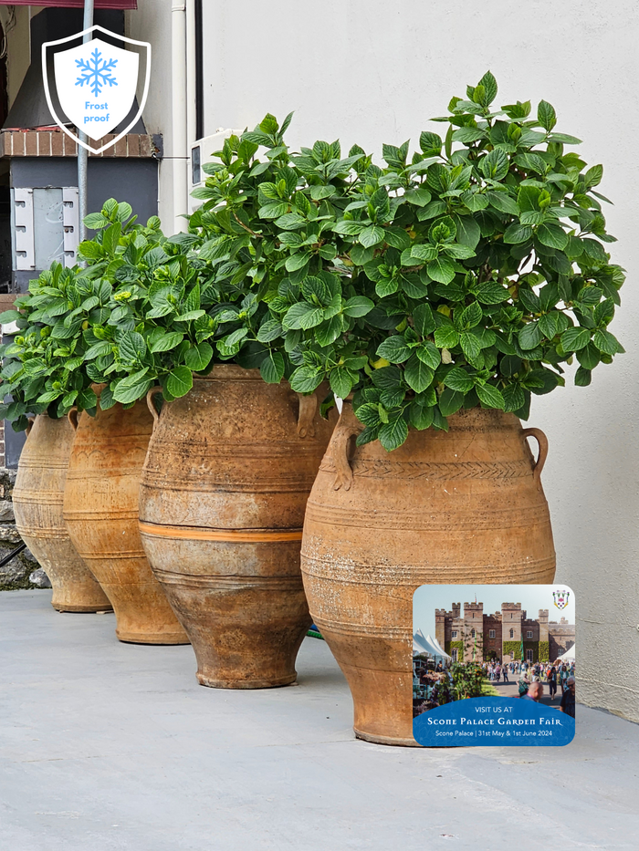 Cretan Terracotta Pots High Quality Cretan Terracotta Pots