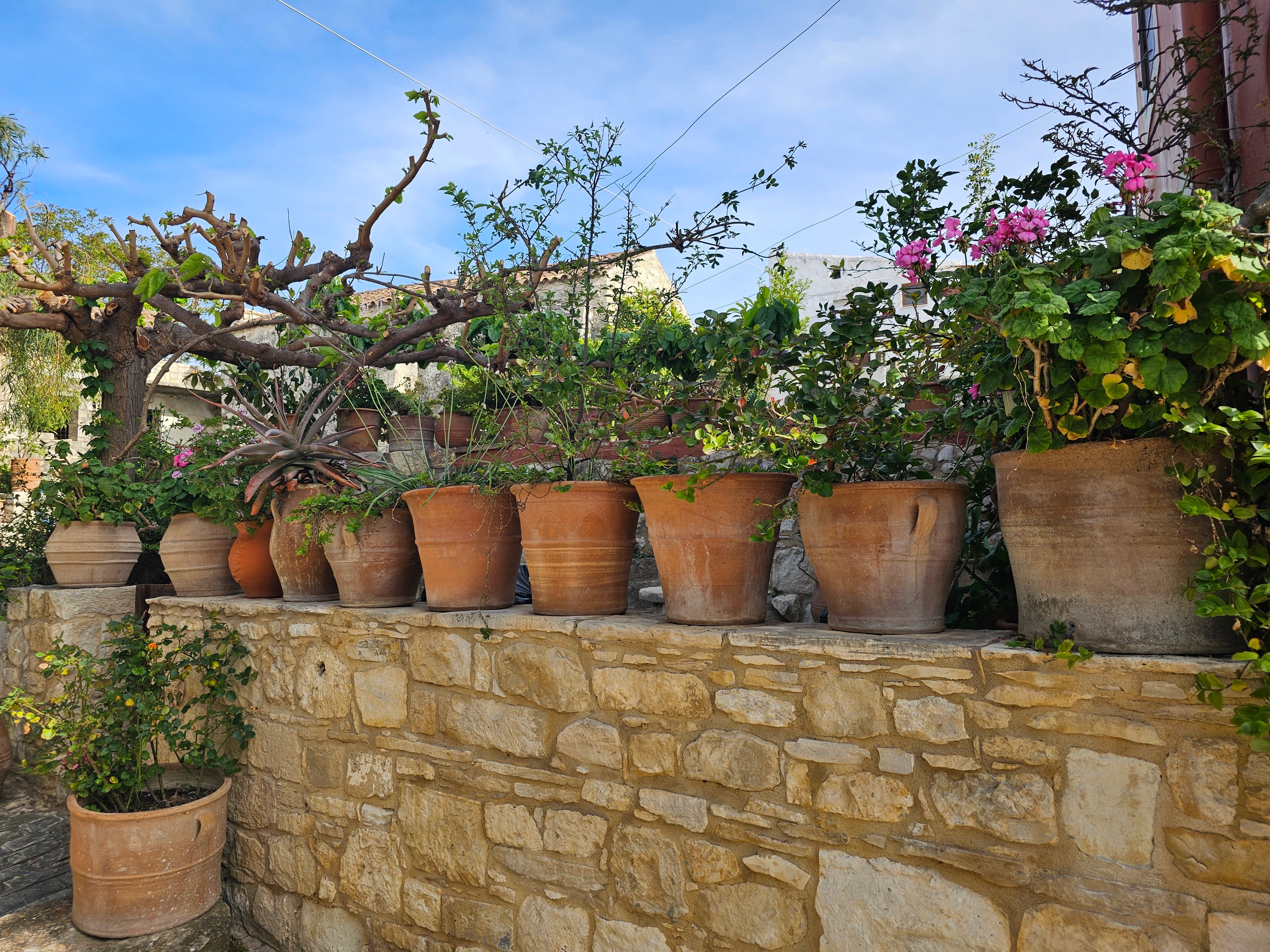 Cretan Terracotta Pots Affordable and Frost Proof Cretan Terracotta Pots