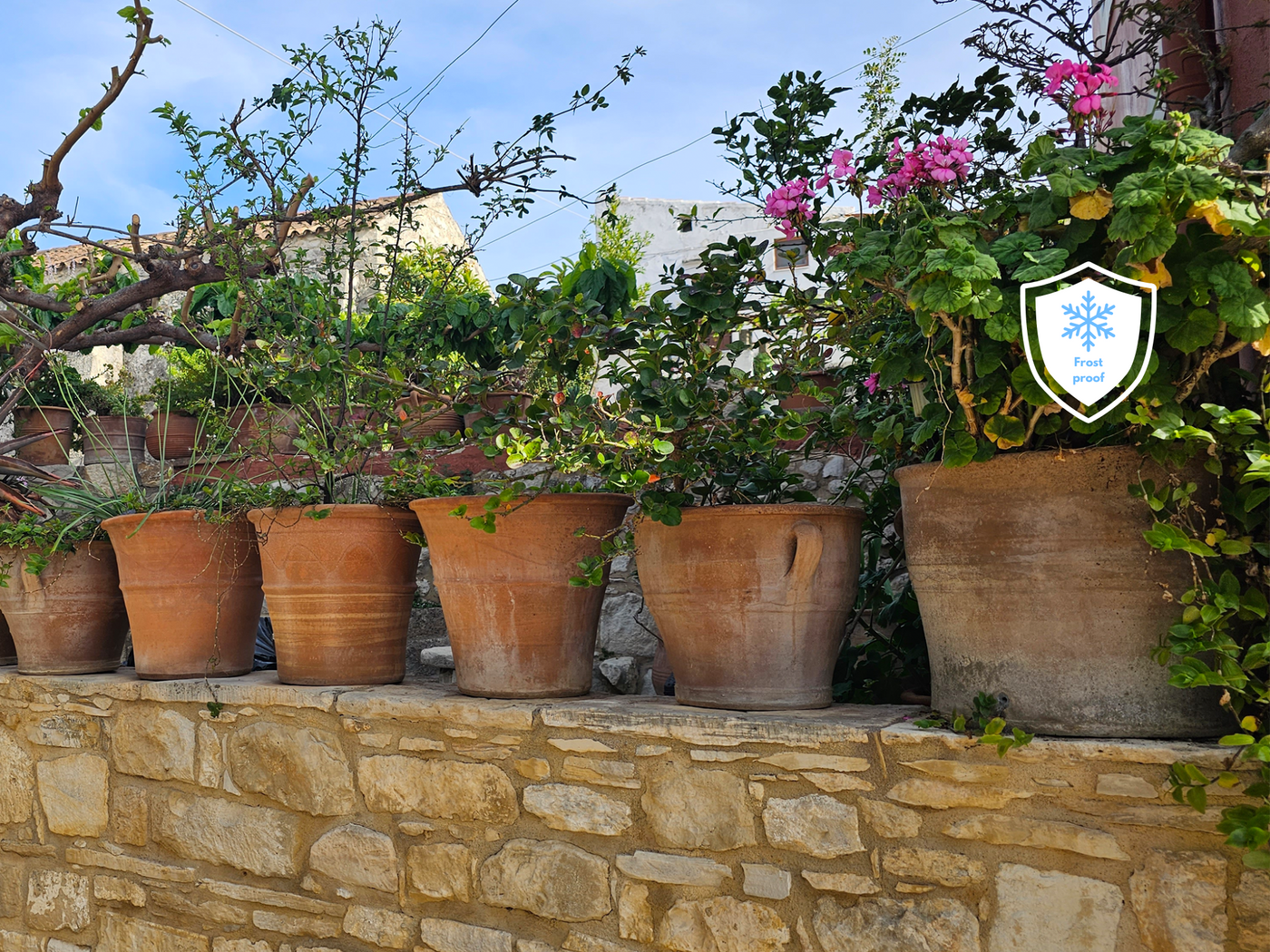 Cretan Terracotta Pots High Quality Cretan Terracotta Pots - Delivered ...