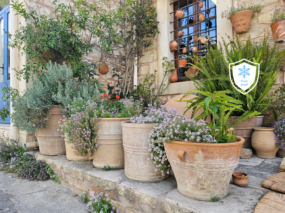 Cretan Terracotta Pots High Quality Cretan Terracotta Pots - Delivered ...