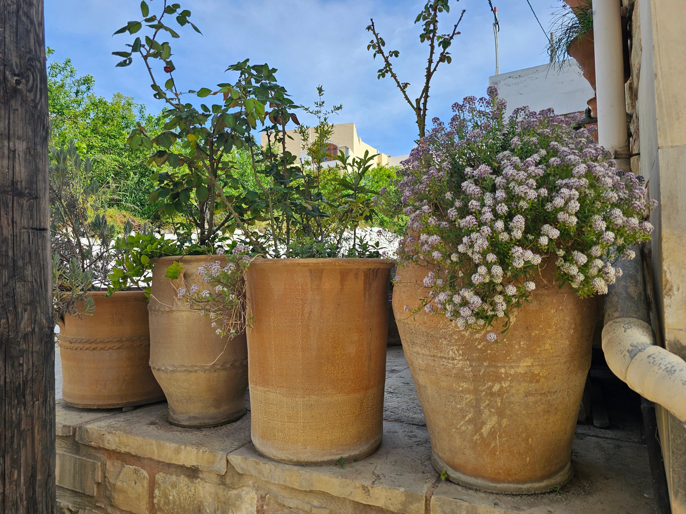 Inspiration for planting your Cretan terracotta pots - Cretan ...