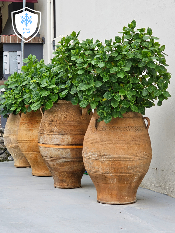 Cretan Terracotta Pots High Quality Cretan Terracotta Pots - Delivered ...