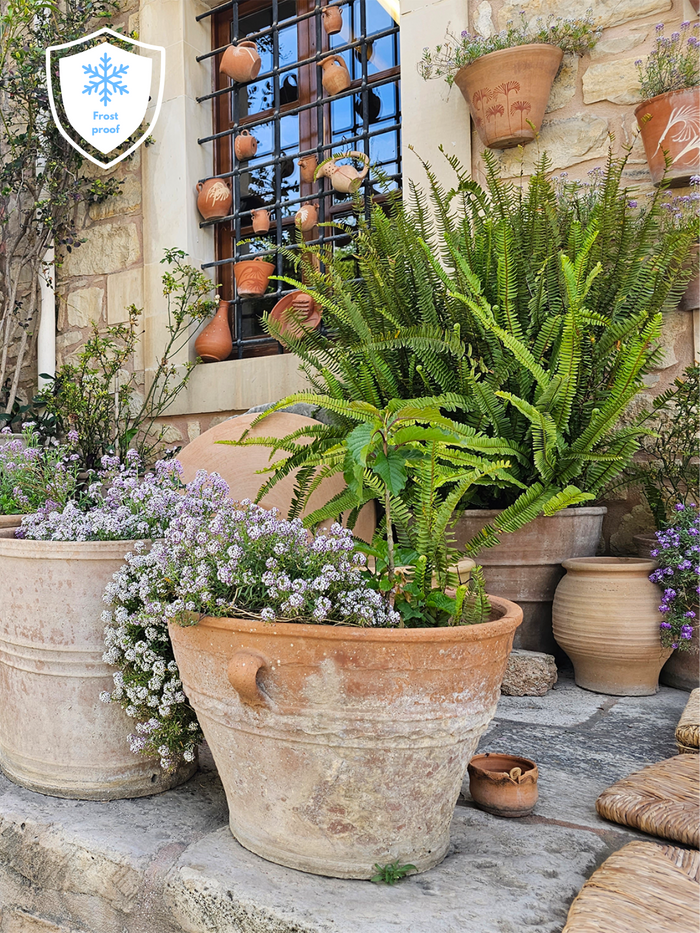 Cretan Terracotta Pots High Quality Cretan Terracotta Pots - Delivered ...